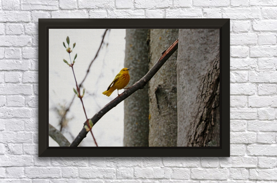 Step Lively - Deb Oppermann