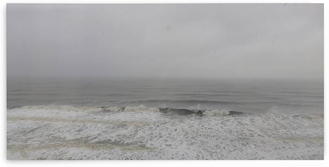 Rebecca Madden - // Art Collection