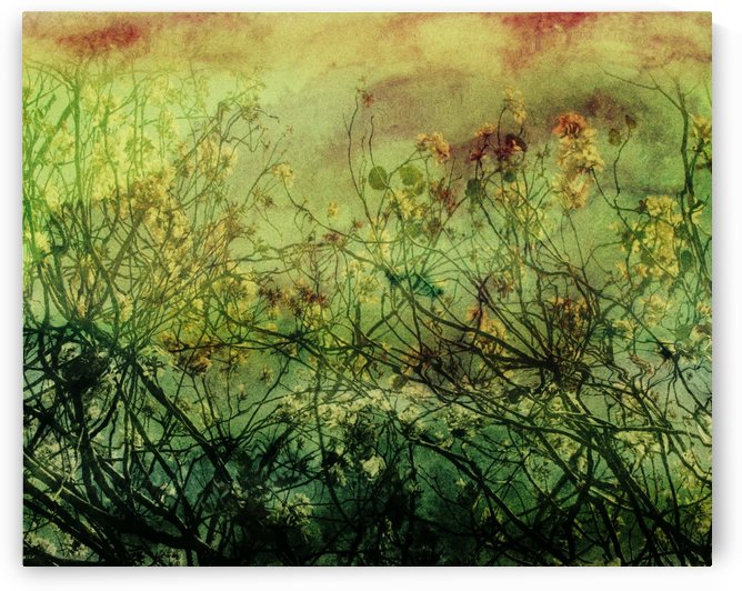 Heitor Magno - // Art Collection