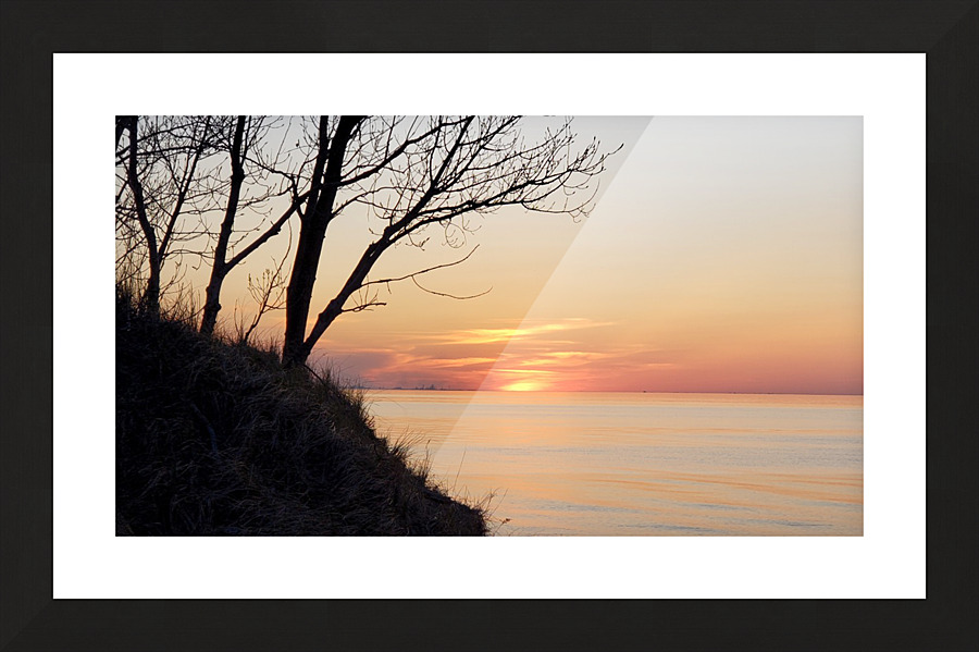 Lynn Buckmaster - // Art Collection