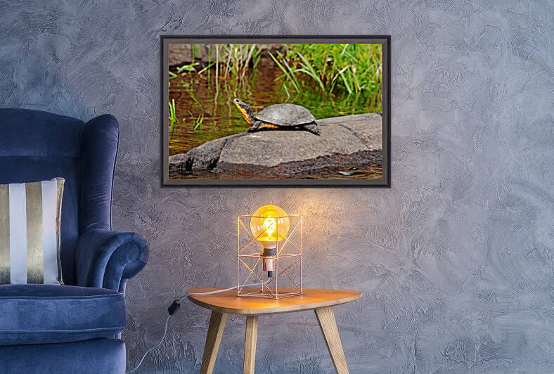 Deb Oppermann - // Art Collection