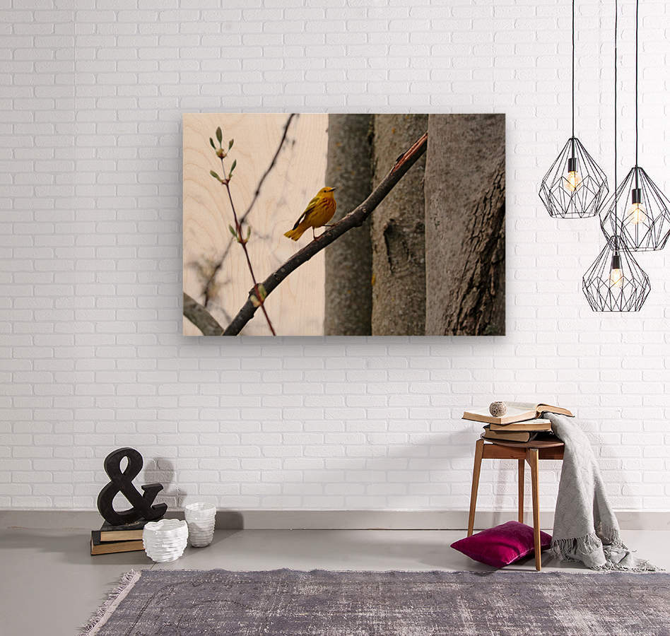 Step Lively - Deb Oppermann